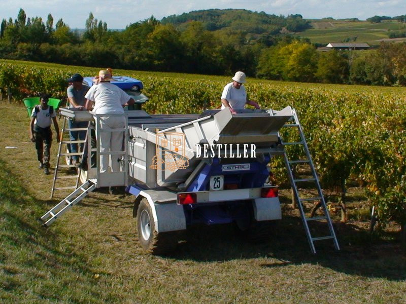 Grape harvesting trailer - Destiller